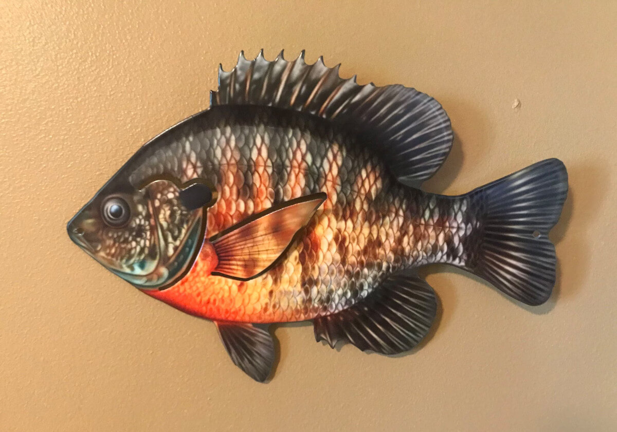 Bluegill Replica Mount: The Best Picks And Complete Guide | Reelistic ...