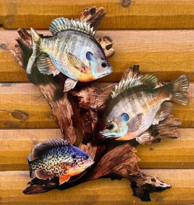 Reelistic Replicas | Lifelike Fish Replicas