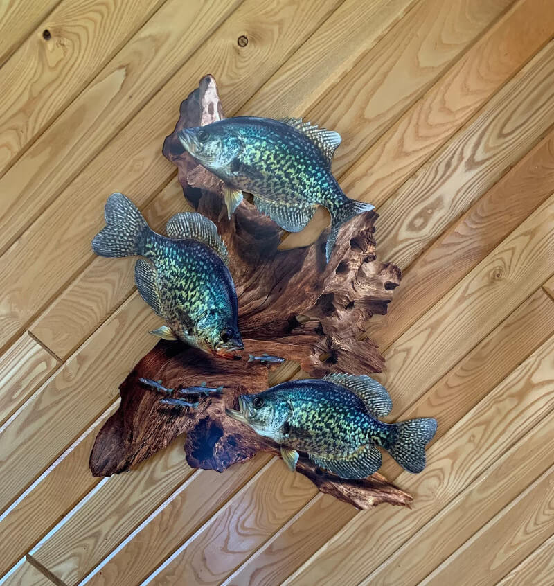 Reelistic Replicas | Lifelike Fish Replicas