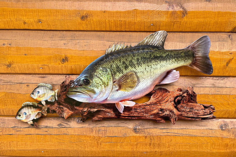 Reelistic Replicas | Lifelike Fish Replicas