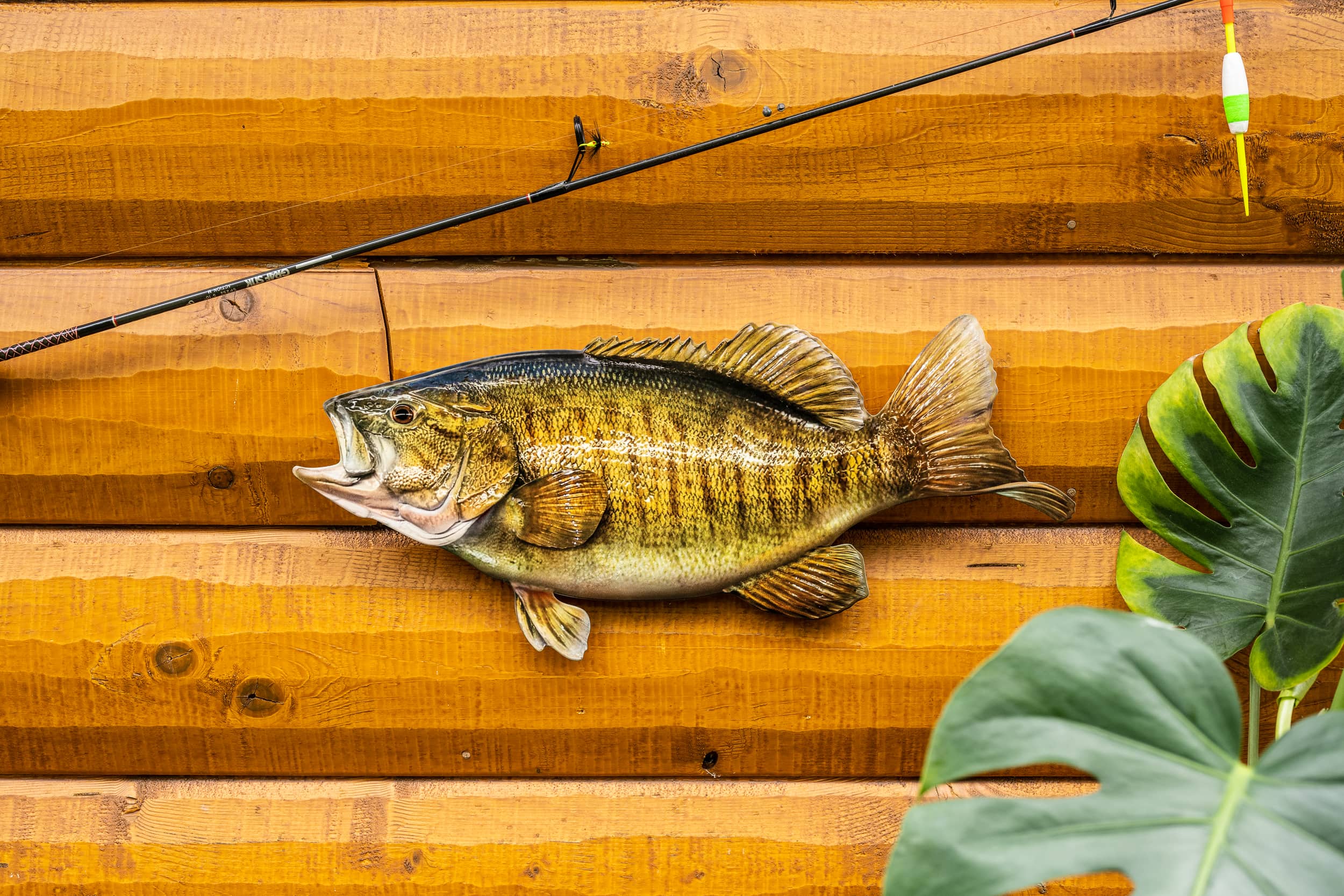 20 Inch 2D Smallmouth Bass Replica Art | Reelistic Replicas