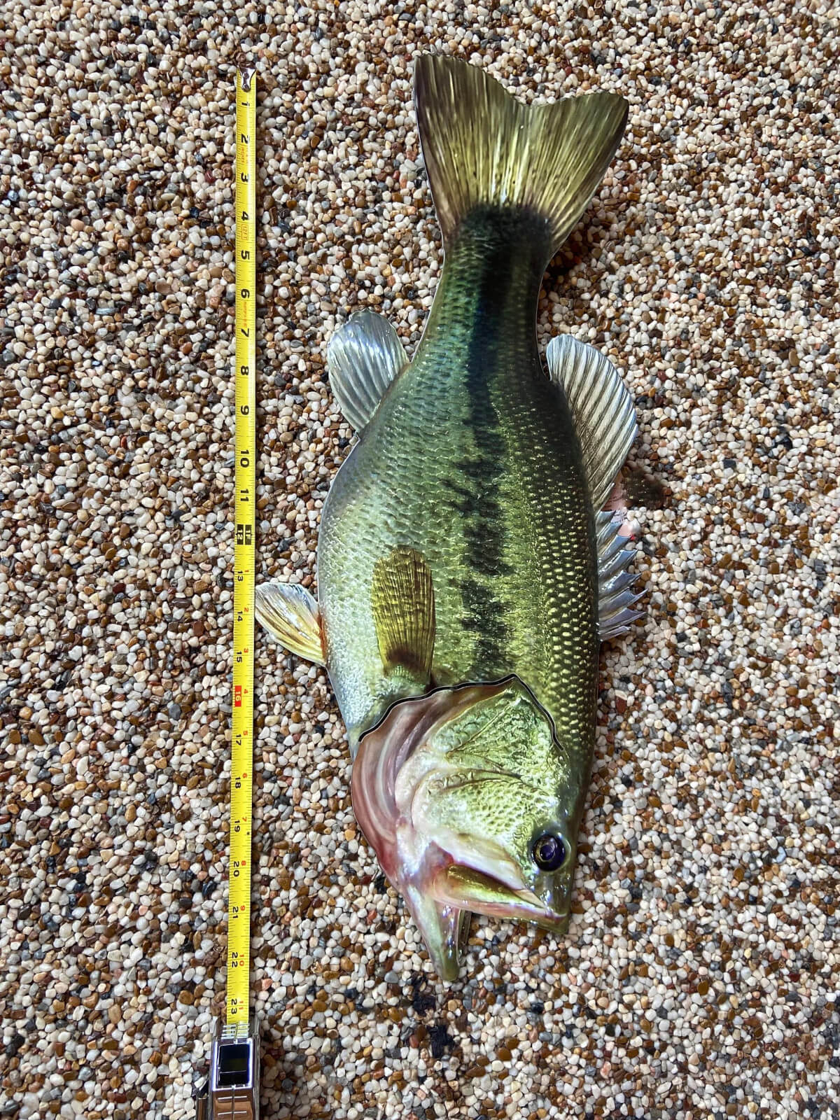 23 Inch 2D Largemouth Bass Replica Art | Reelistic Replicas