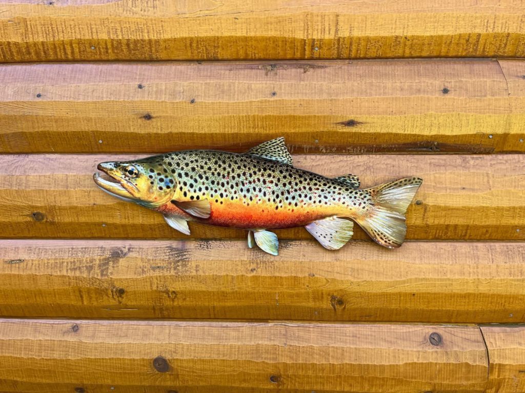 Are All Fish Mounts Replicas? (Solved!) | Reelistic Replicas