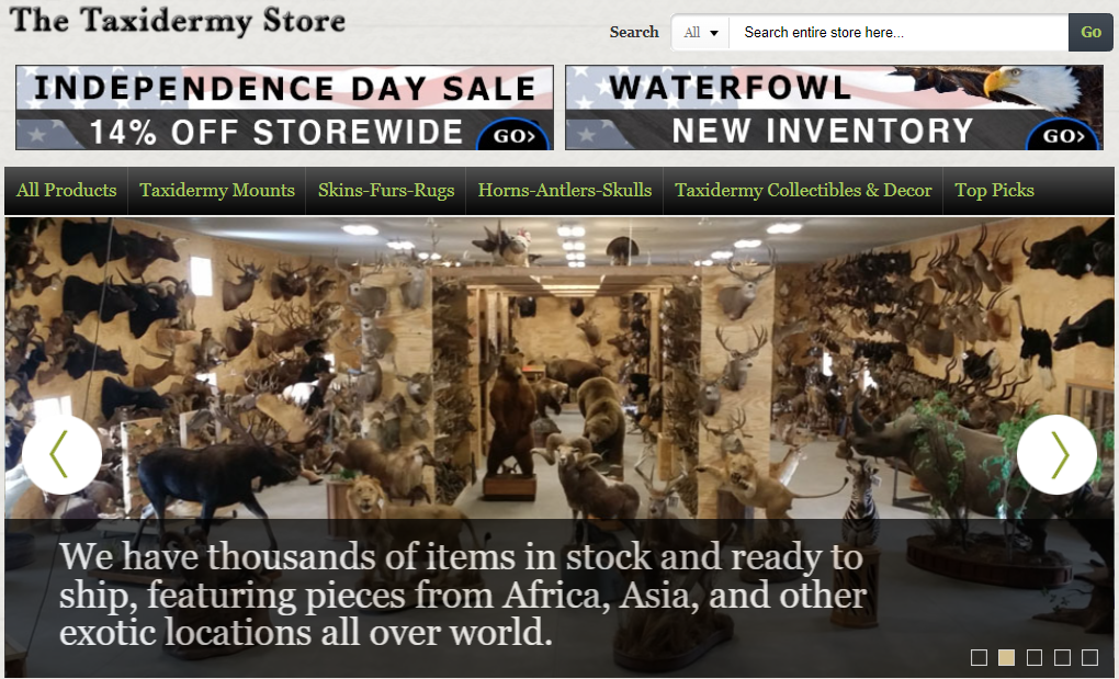 Where To Get Fish Mounted? Fish Mount 101 | Reelistic Replicas