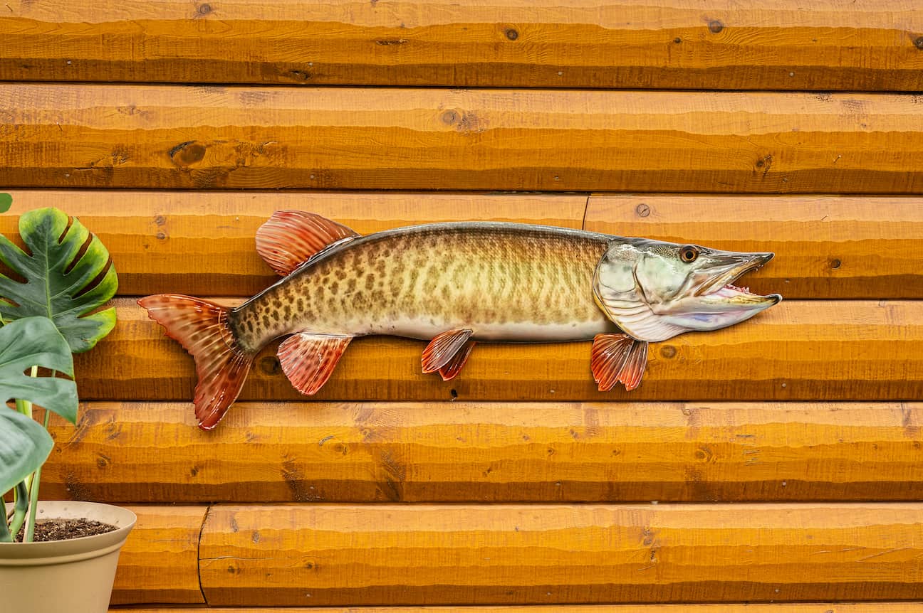 30+ Best Fish Replicas For Restaurant Decor (With Pictures) | Reelistic ...