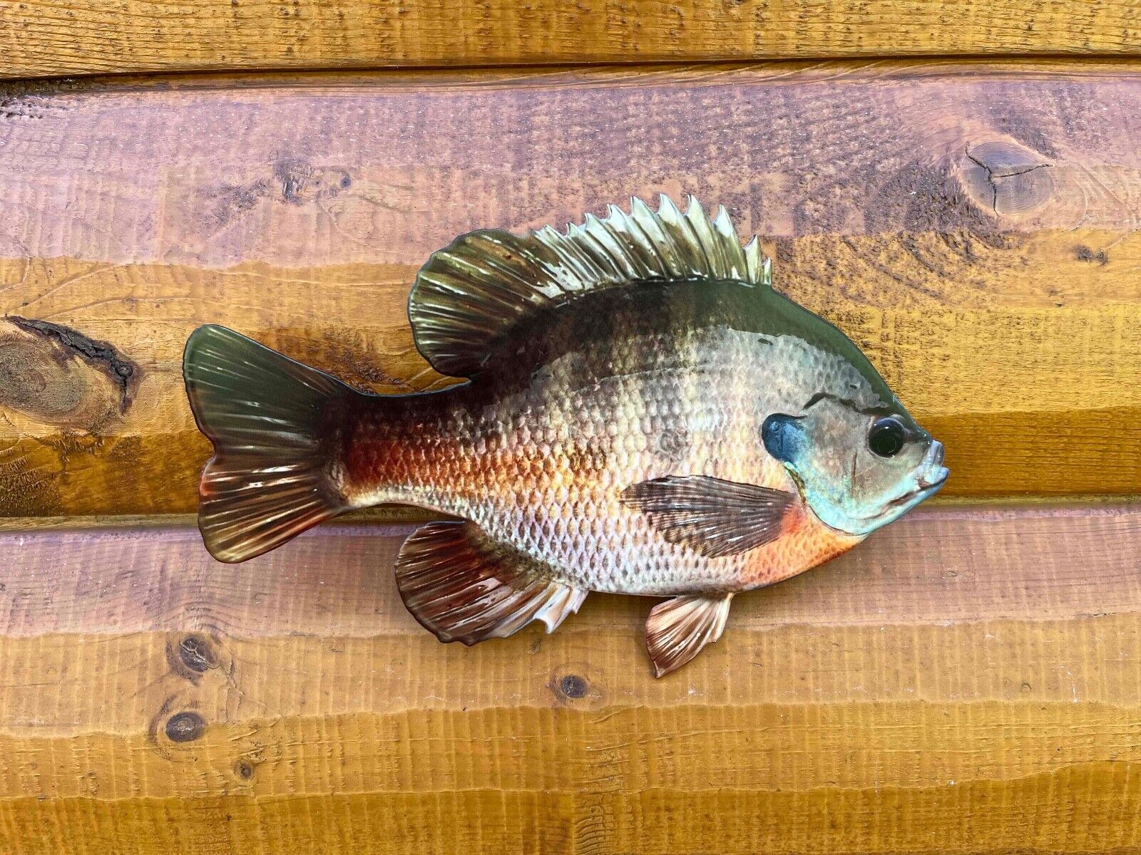 Bluegill Replica Mount: The Best Picks And Complete Guide | Reelistic ...