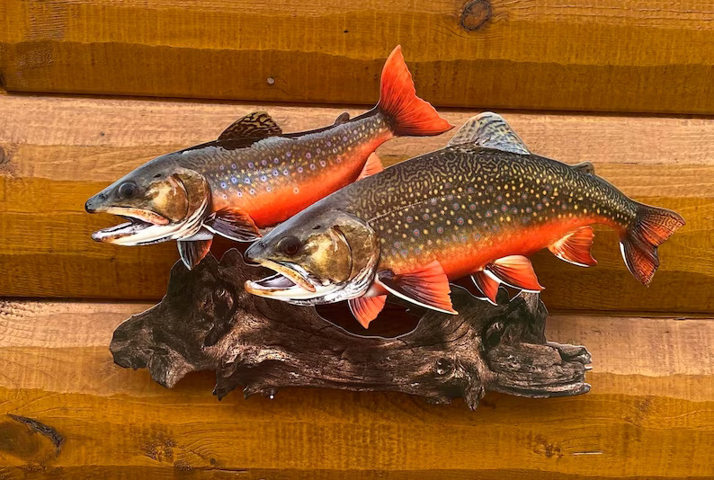 Brook Trout Replica Wall Art Lake Home Decor | Reelistic Replicas