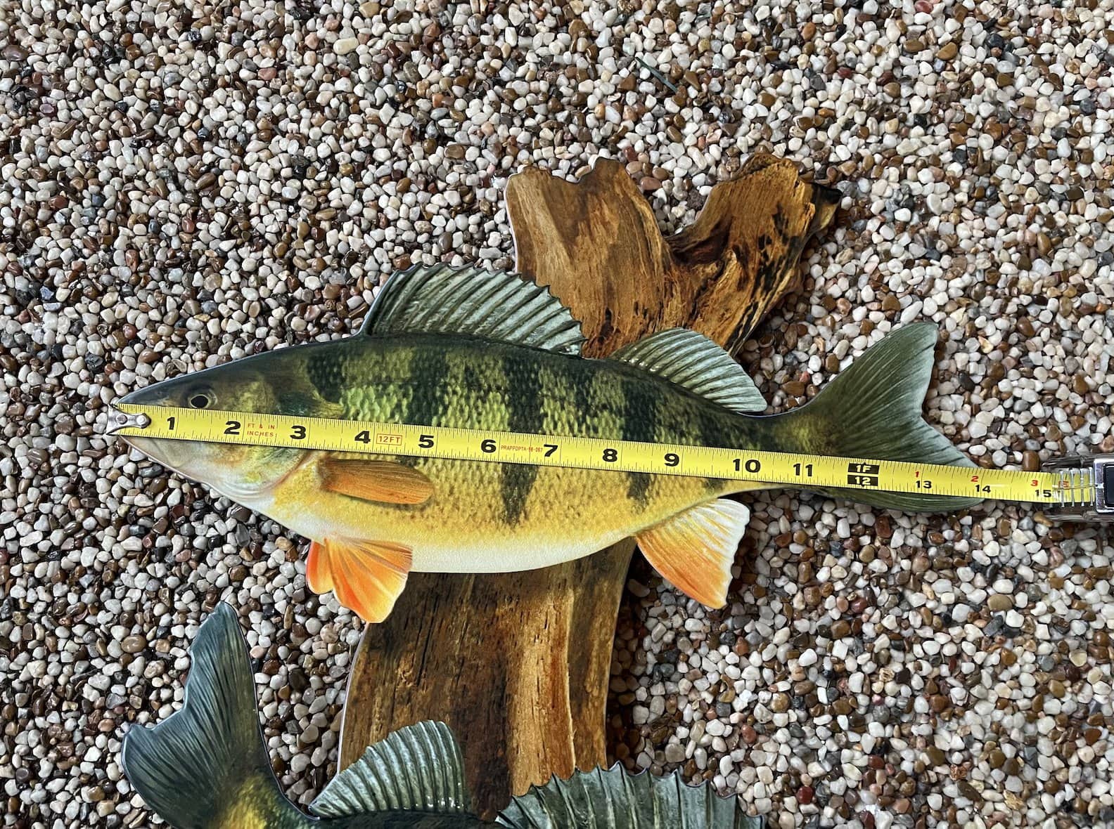 Perch Replica Driftwood Scene | Reelistic Replicas