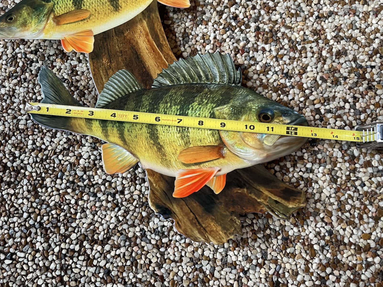 Perch Replica Driftwood Scene | Reelistic Replicas