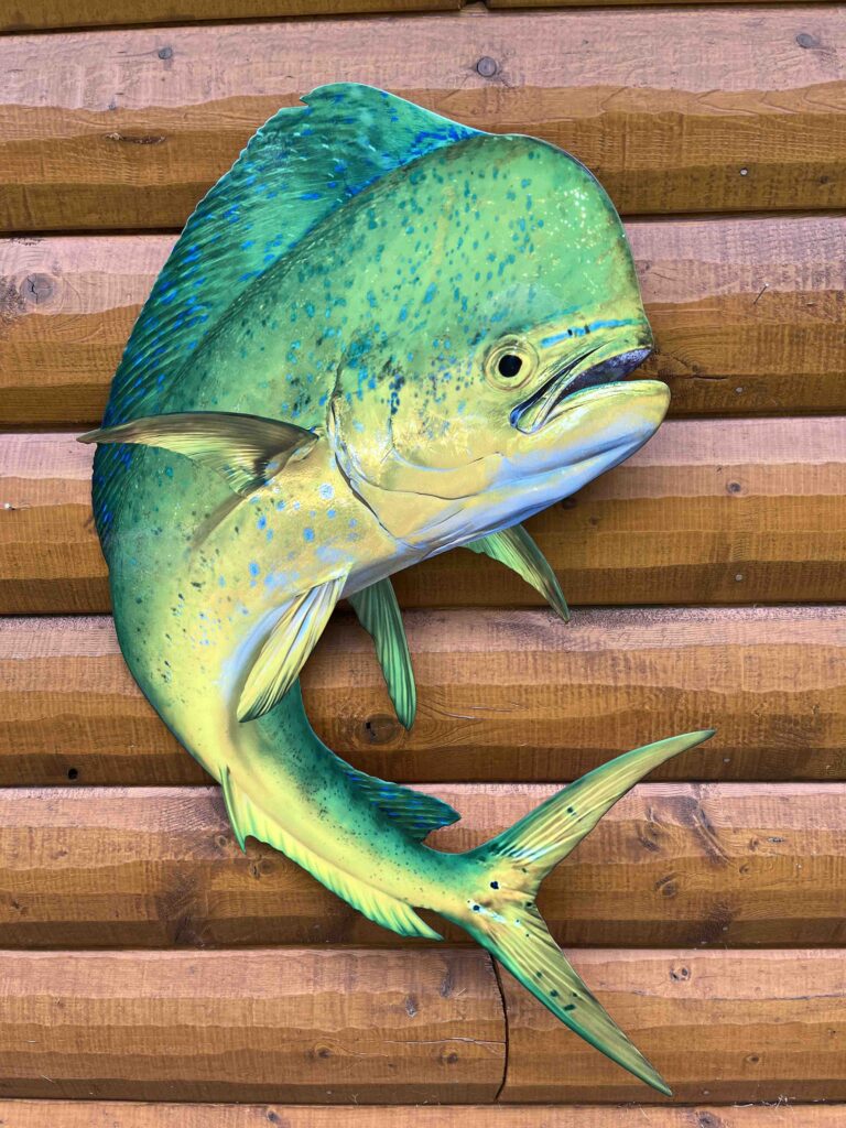 Mahi Mahi Replica Fish Art | Reelistic Replicas