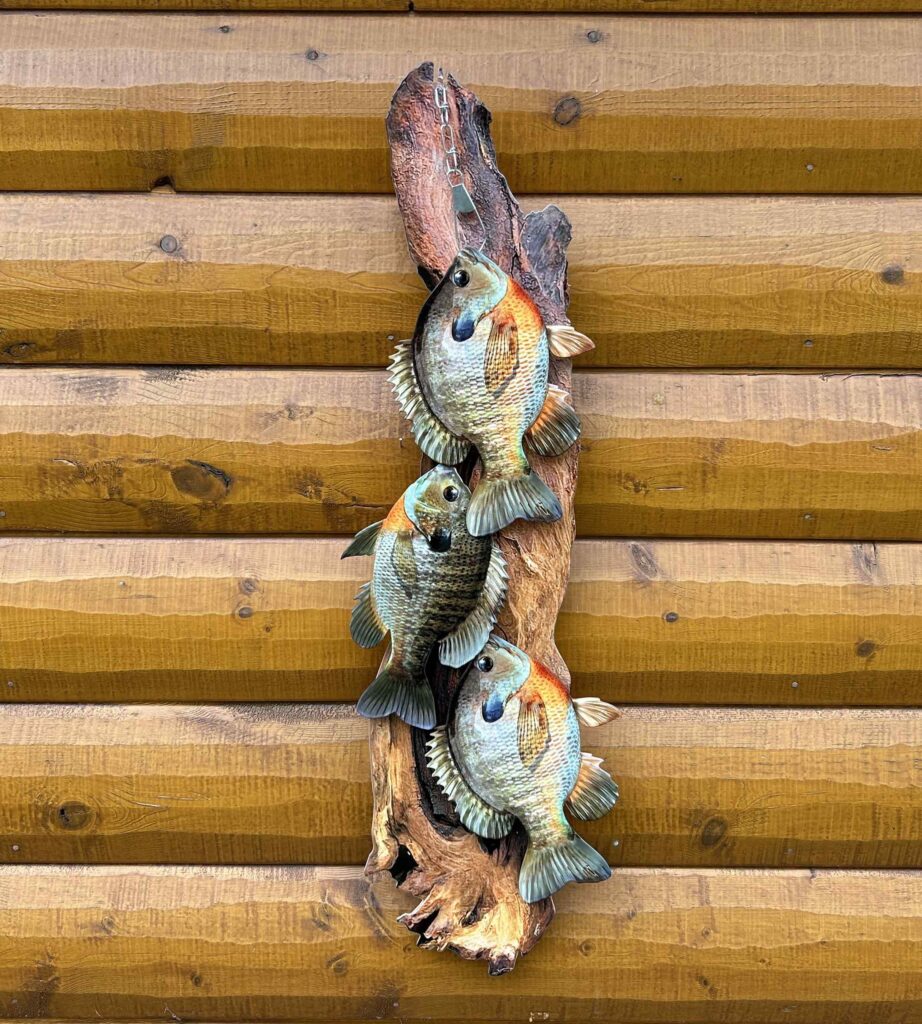 Bluegill Stringer Mount | Reelistic Replicas