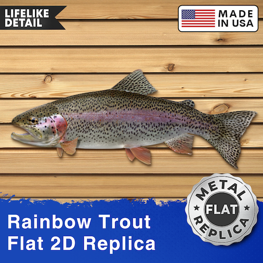 Rainbow Trout Replica Rustic Lake Home Decor | Reelistic Replicas