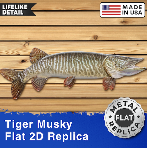 42 Inch 2D Tiger Musky Replica Art | Reelistic Replicas